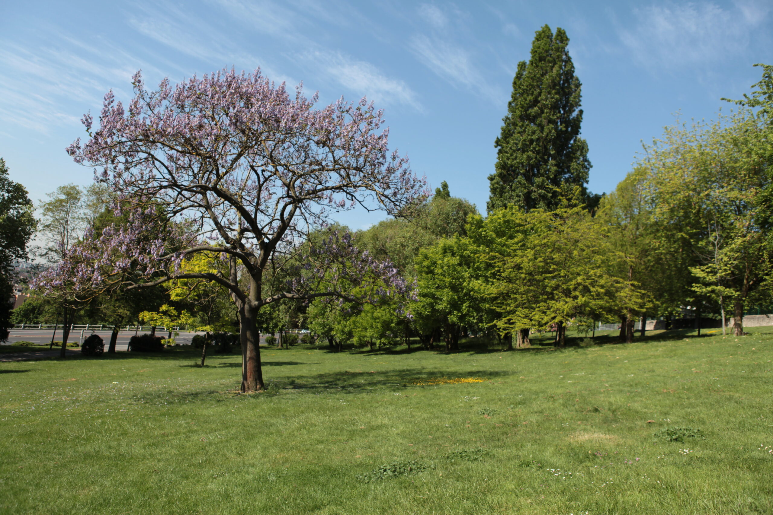 Parc d’Avaucourt – Ville d'Athis-Mons