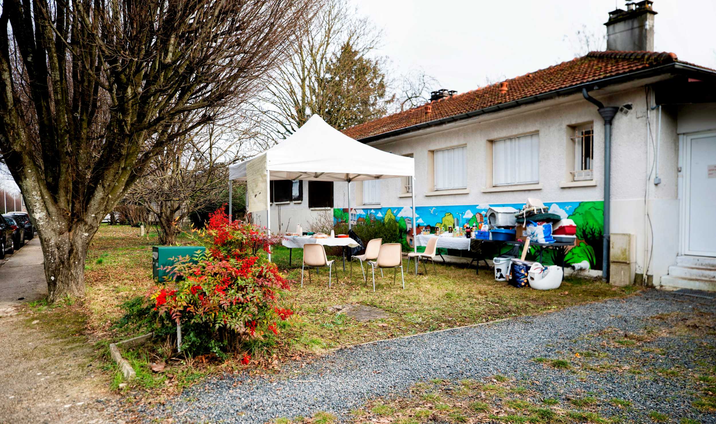 L’association RESCAP aménage un refuge pour chats à la Cité de l’Air ...